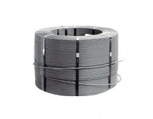 TORONES - El Oficial